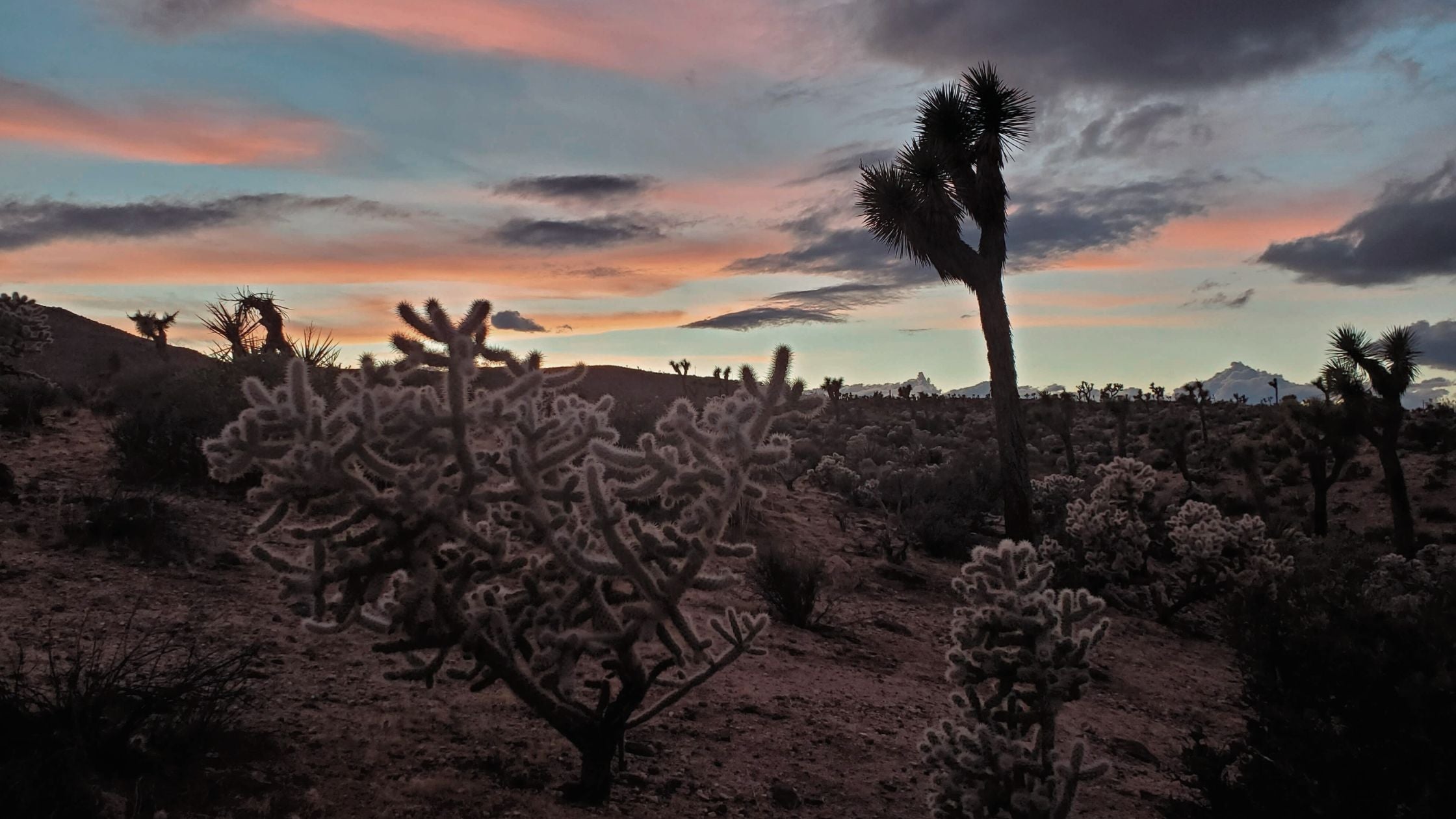 Reset Ritual: Desert Midnight – All Roads